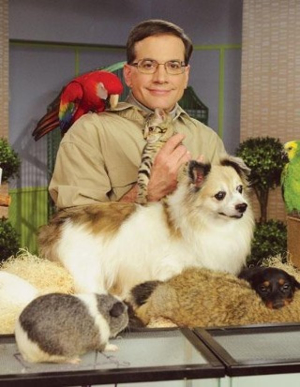 How to Switch Your Parrot From Seeds To A Pellet/Chop Diet – Ivy's Flock