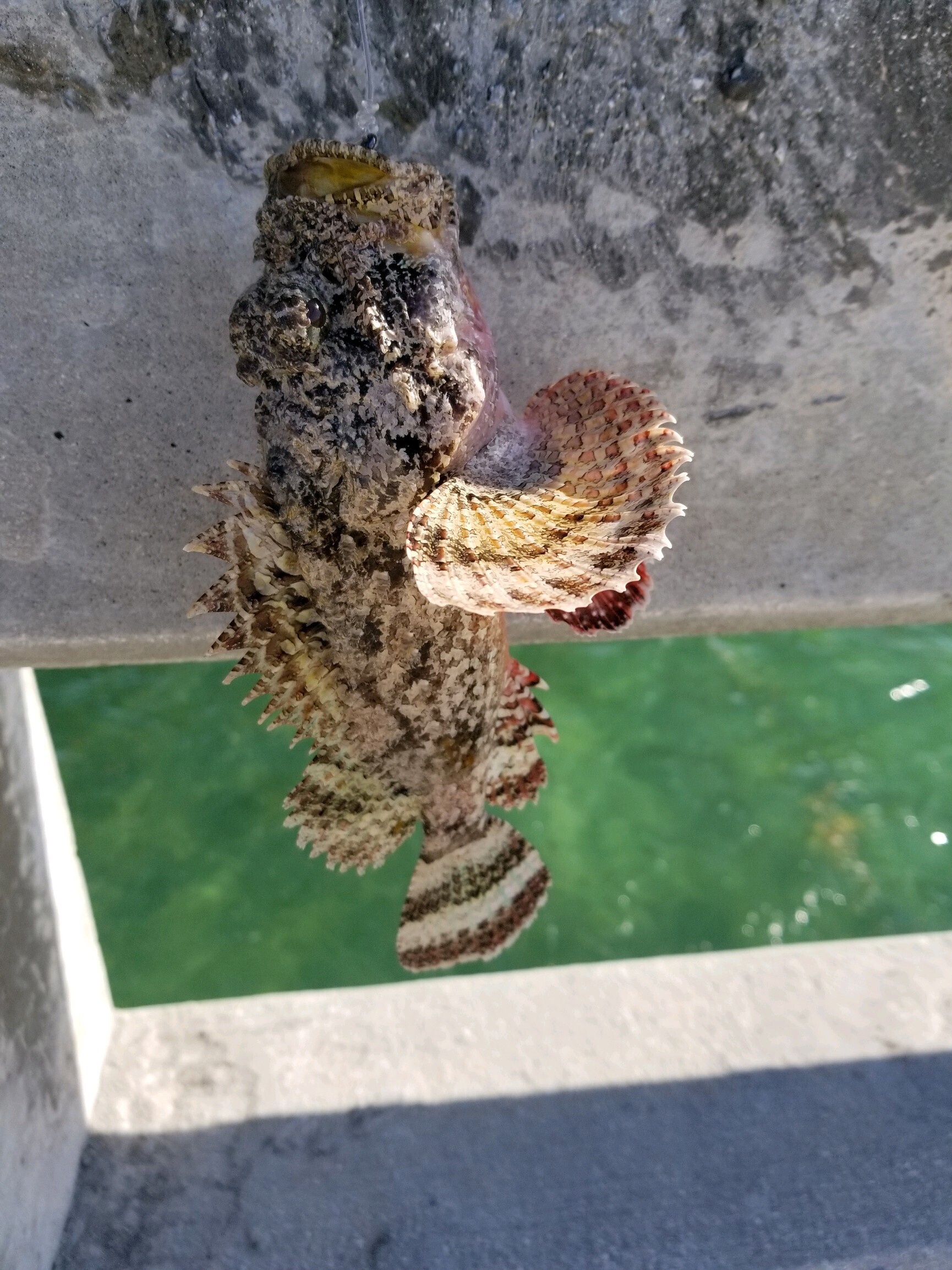 Gallery | LandBoat Charters