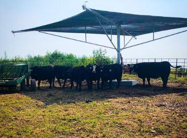 Shade Structures- Stuart, FL | The Shade Man, Inc.